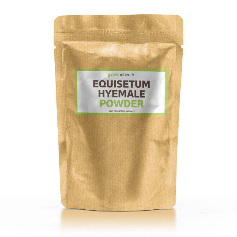 Equisetum Hyemale Powder for Teeth | The Grow Network — The Grow ...